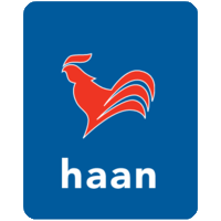 Renovatie tankstation overkapping haan in Capelle - Cleanbuild